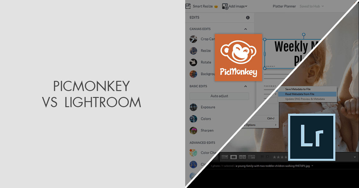 PicMonkey vs Lightroom: Which Software Is Better?