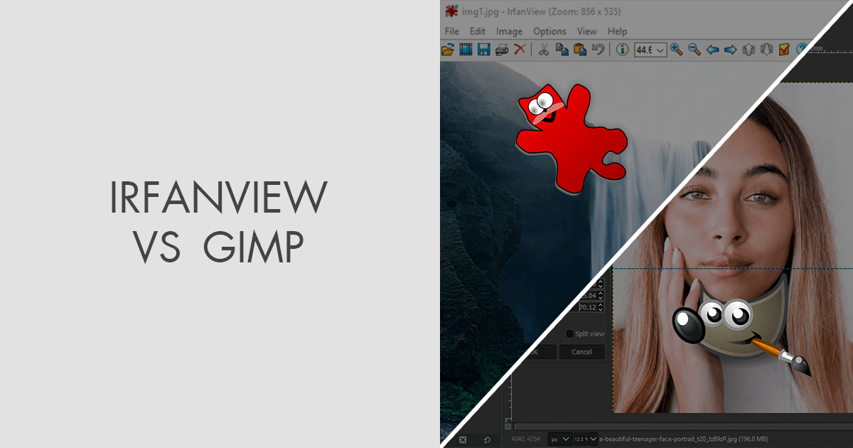 IrfanView vs GIMP: Which Software Is Better?