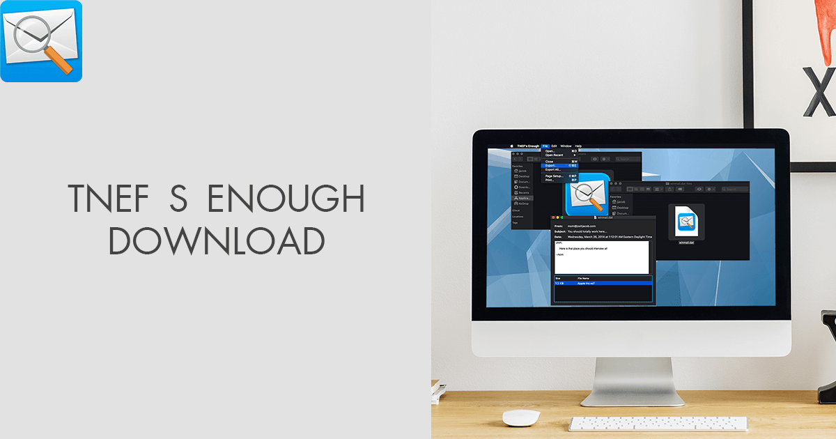 Tnef S Enough Download (Updated 2025 Version)