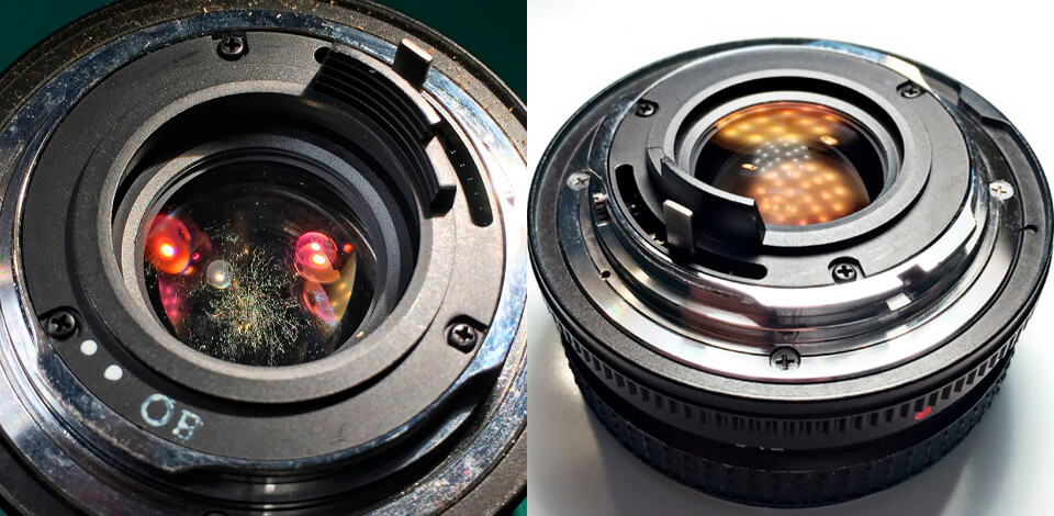 How to Remove Fungus from Lens: Cheap Way