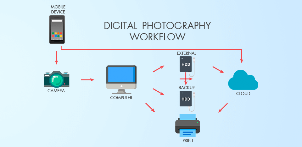 Digital Photography Workflow – Main Stages of Organization