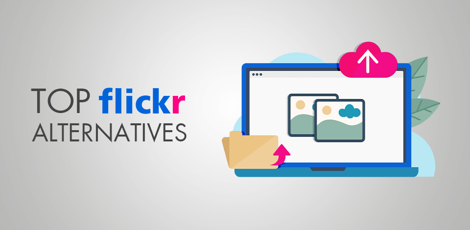 8 Best Flickr Alternatives to Use in 2025