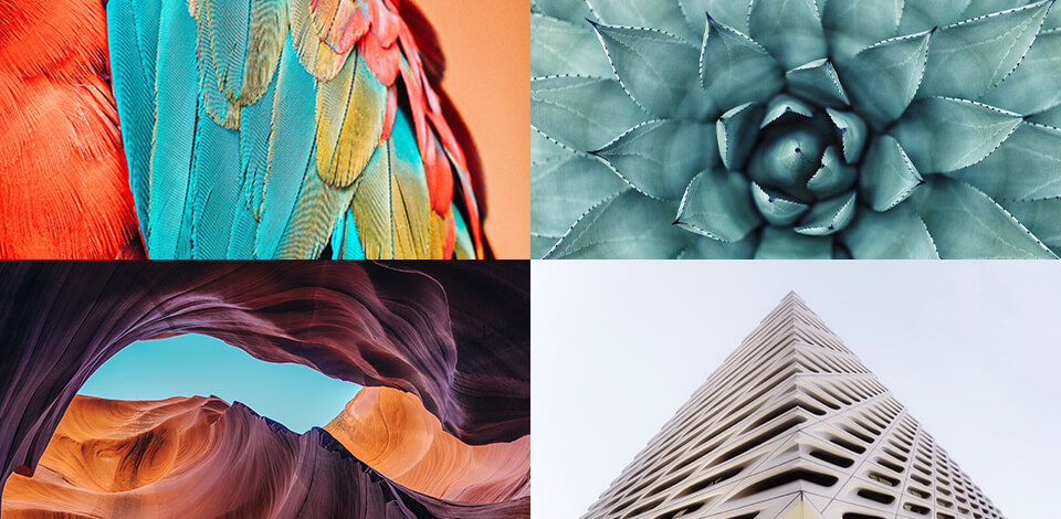 What Is Form in Photography: Ultimate Guide 2025