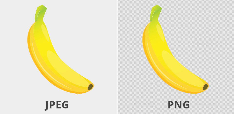 Difference Between JPEG and PNG – Which Should You Use?