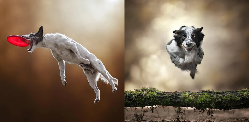 Revue et Portfolio de Claudio Piccoli Photographie