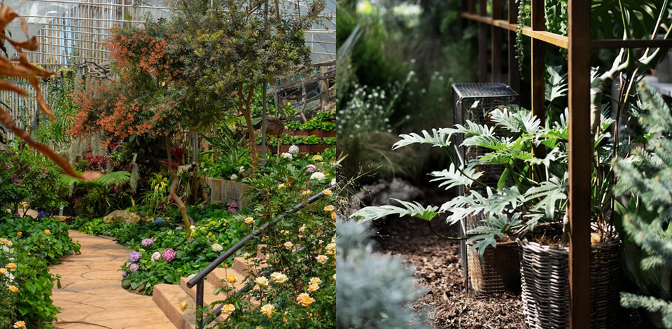 15 Garden Photography Ideas and Tips