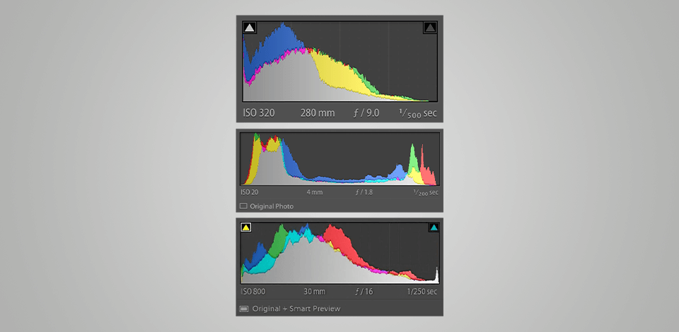 Histogram on Camera and How to Read It