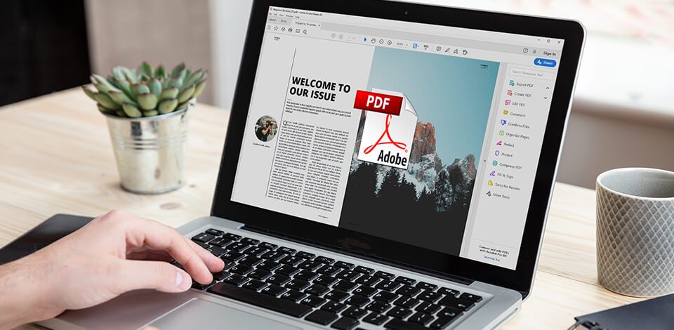 12 Meilleurs Lecteurs de PDF Gratuits en 2025