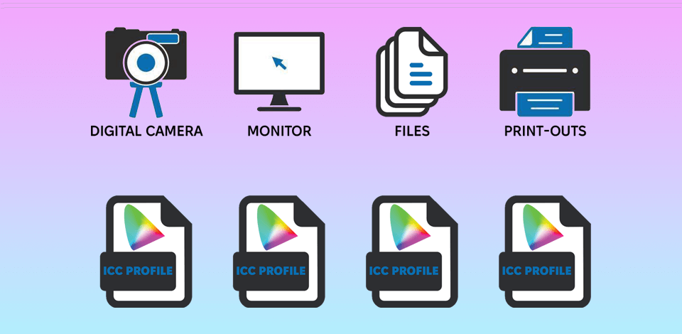 Which ICC Profile to Use for Accurate Color Management | Fixthephoto ...