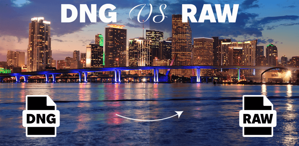 DNG vs RAW: What to Choose for Shooting and Storing?