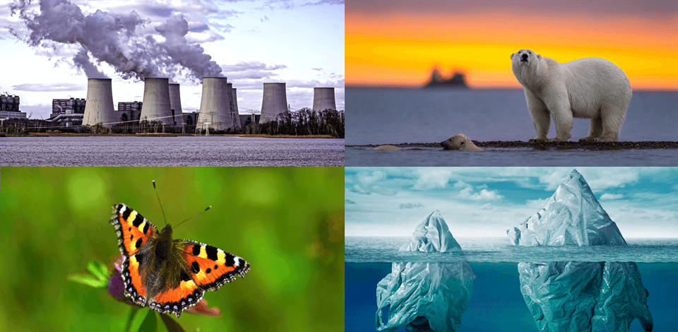 7 Ways to Promote Sustainability in Photography