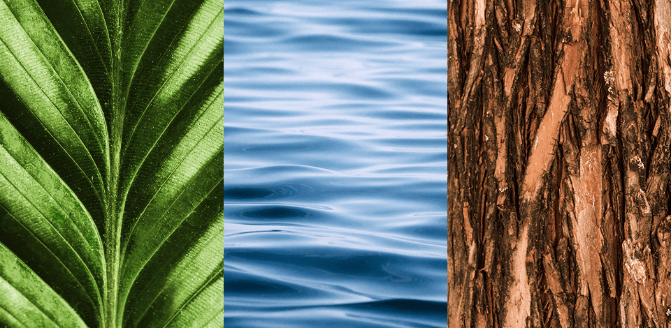 Examples of Texture in Photography: Settings & Tips