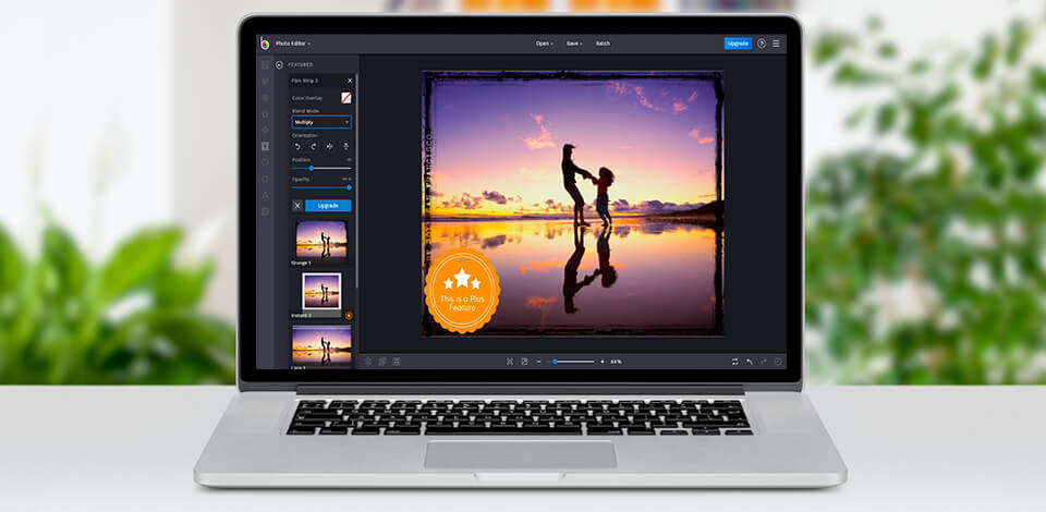 12 Best Software for Photo Borders in 2025