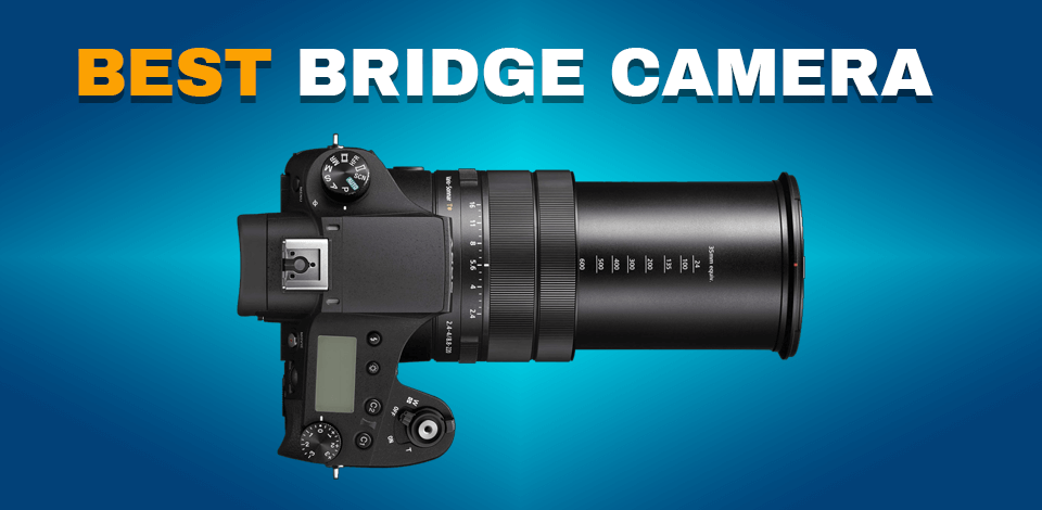 Best Bridge Cameras: Do Photographers Still Use Them?