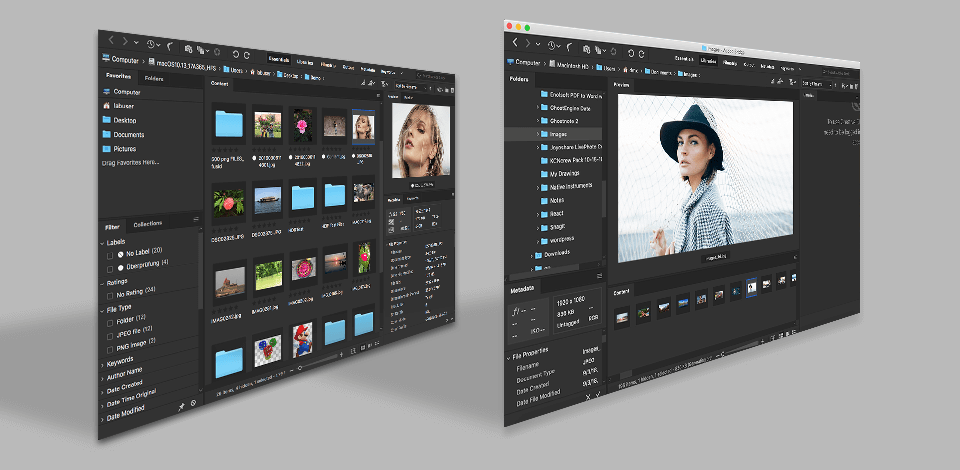 12 Best Photo Catalog Software in 2024: Free and Paid