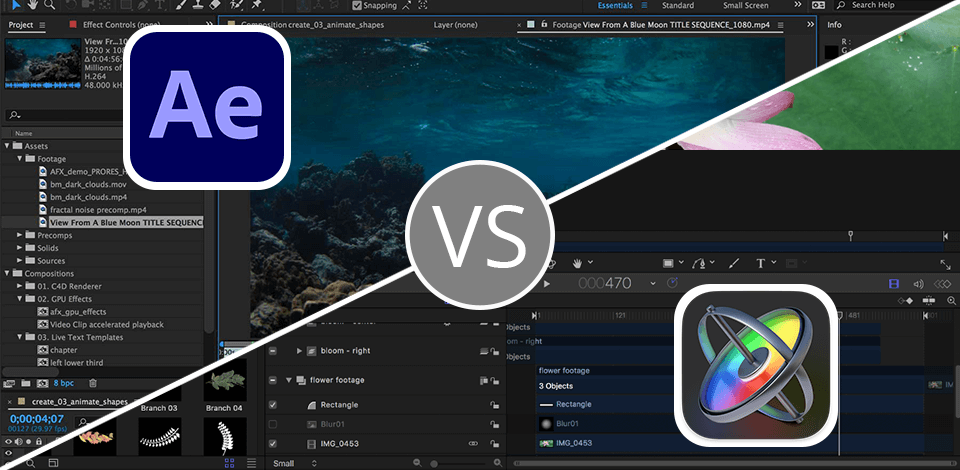 Motion vs After Effects: Which Is NOT for Your Budget?