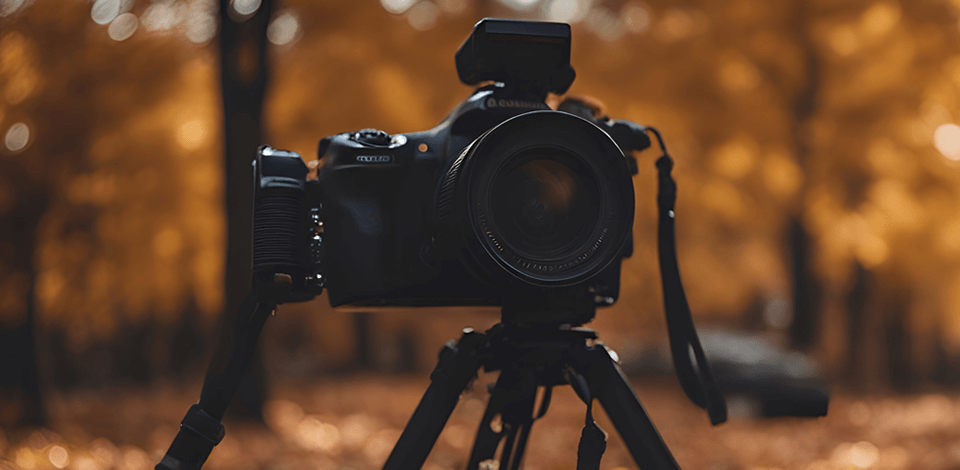 Best Low Light Video Cameras of 2025