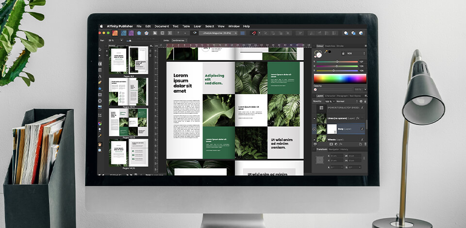 7 Best InDesign Alternatives for Page Layout Designers in 2025