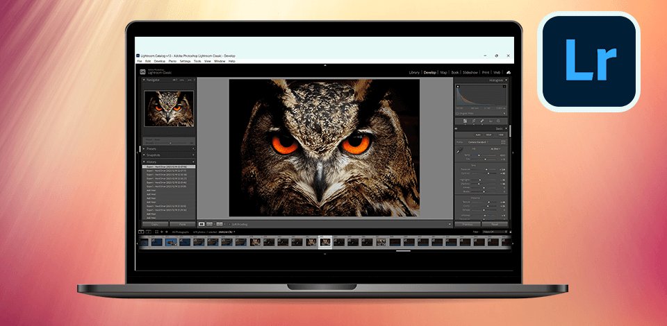 Lightroom Review 2025: Functionality, Efficiency & Score