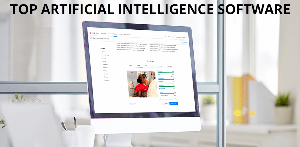 13 Best Artificial Intelligence Software in 2025