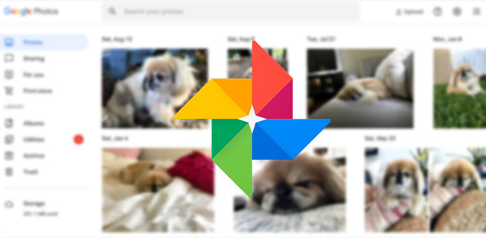 25 Google Photos Tips & Tricks that Show a Huge Difference
