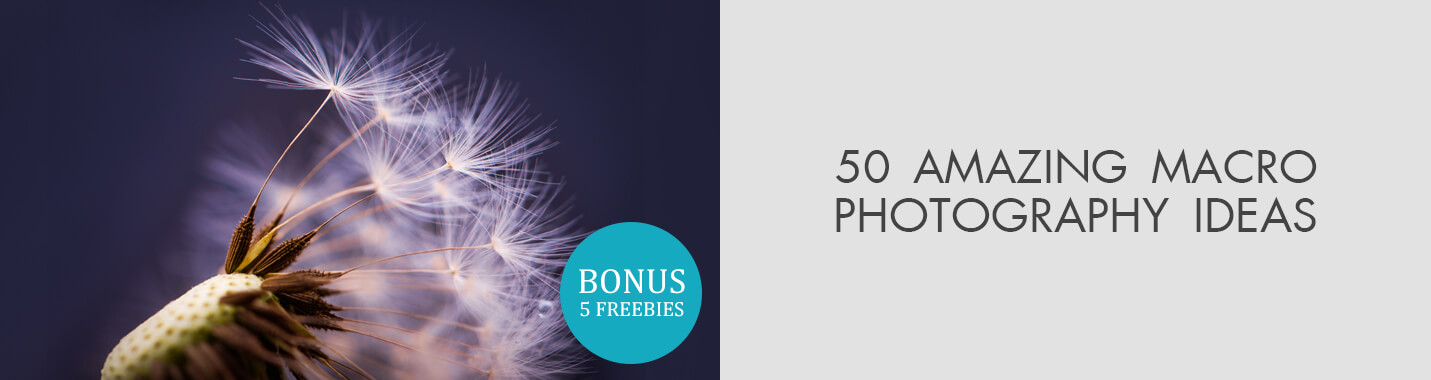 50 Macro Photography Ideas You Can Do at Home