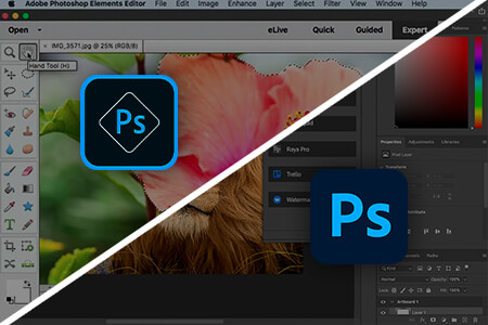 Illustrator vs Photoshop: Which Suits Your Project Better?