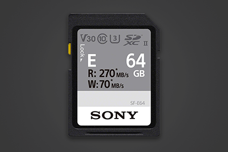 8 Best SD Cards For Canon 90D in 2025