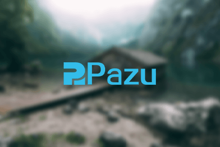 Pazu Disney+ Video Downloader Review 2025