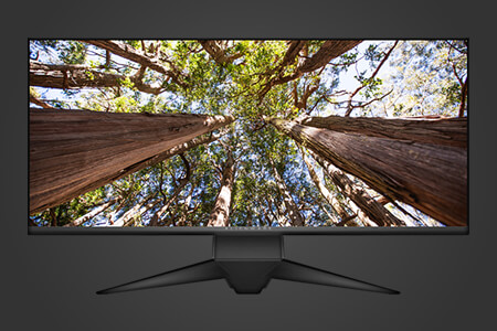 7 Thinnest Monitors in 2020 — For Office, Home, Gaming