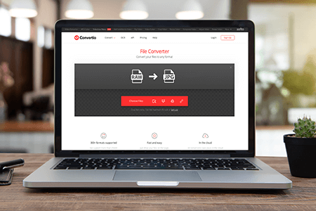 10 Best Canon Raw Editors in 2025