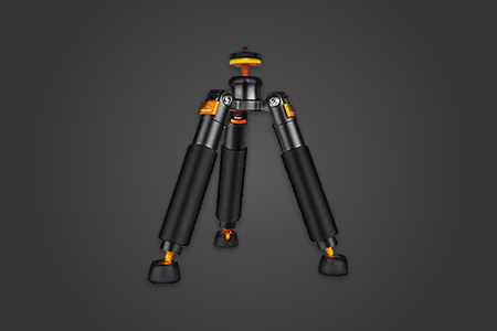 7 Best Tripods for Wildlife Photography to Buy in 2025