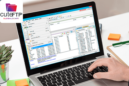 Zviewer Download (Updated 2025 Version)