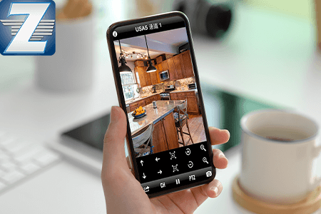 Faststone Screen Capture Download