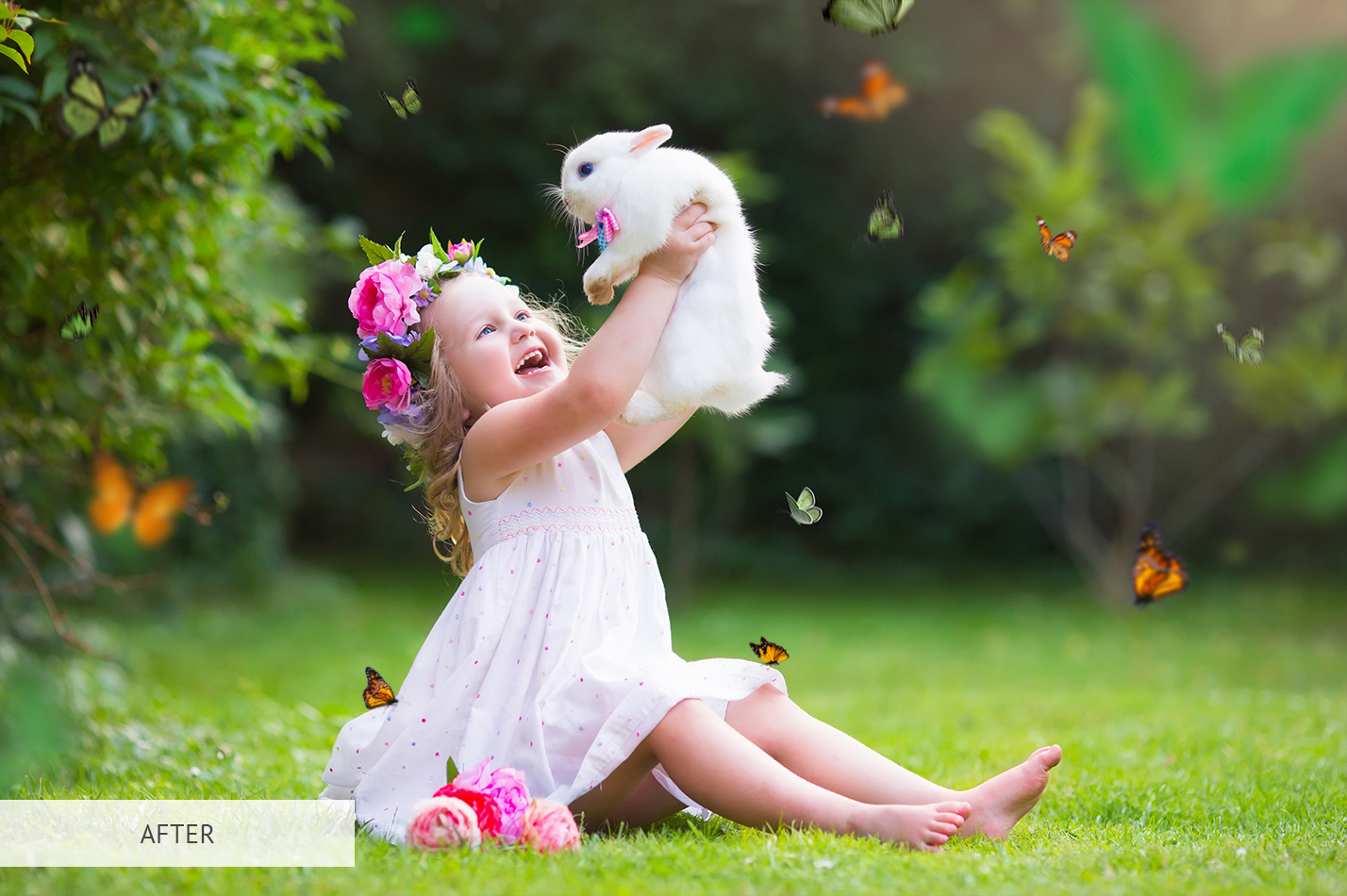 Free Butterfly Overlays for Photoshop|Butterfly Overlay Photoshop Free