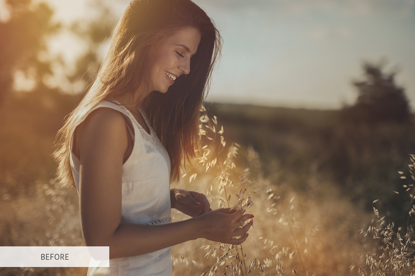 Firefly Overlay for Photoshop | Download Firefly Overlay Free