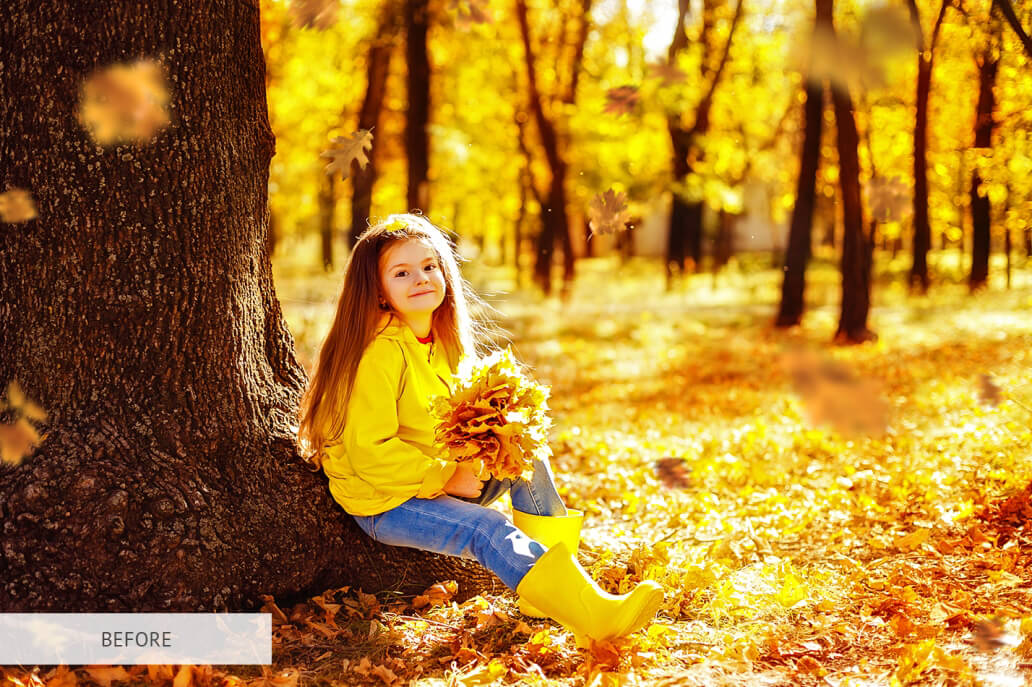 Free Leaves Overlay 6
