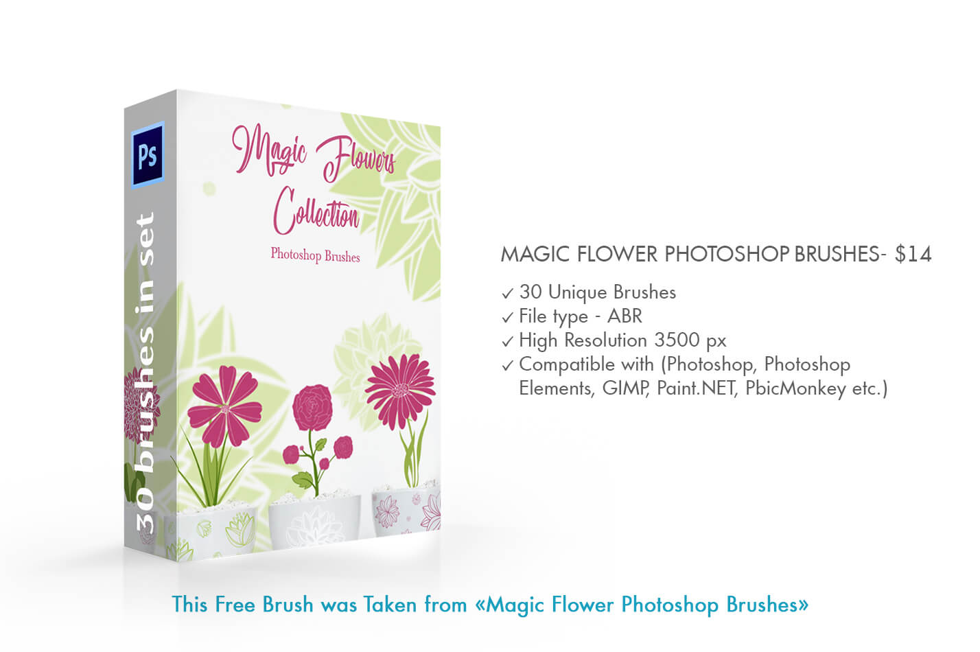 Free Flower Brushes Photoshop 10