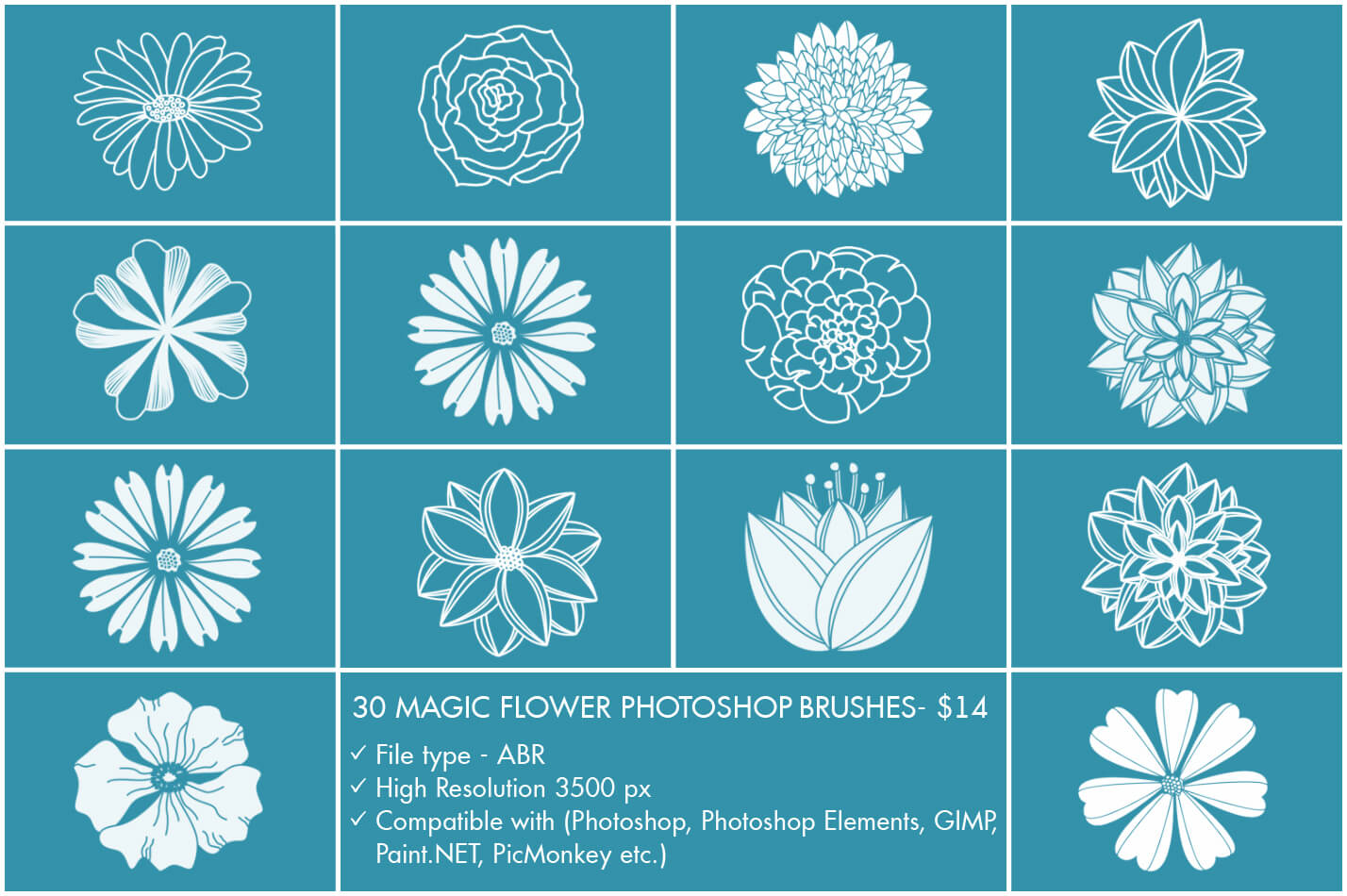 Free Flower Brushes Photoshop 10