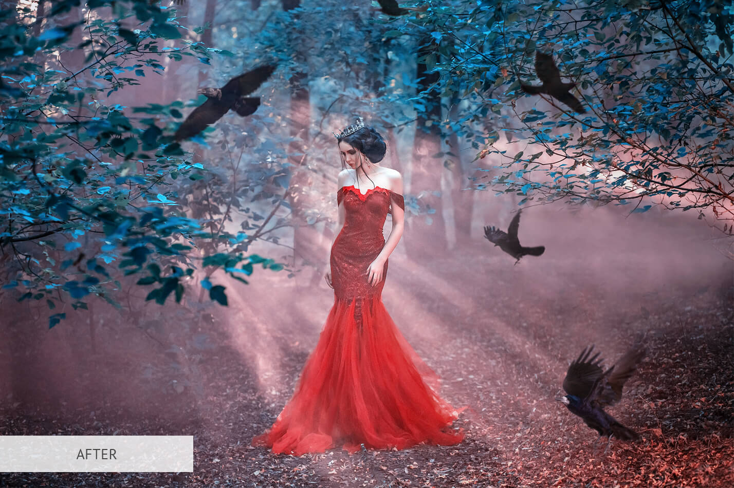 Free Bird Overlay Bundle|Download Birds Overlay Photoshop