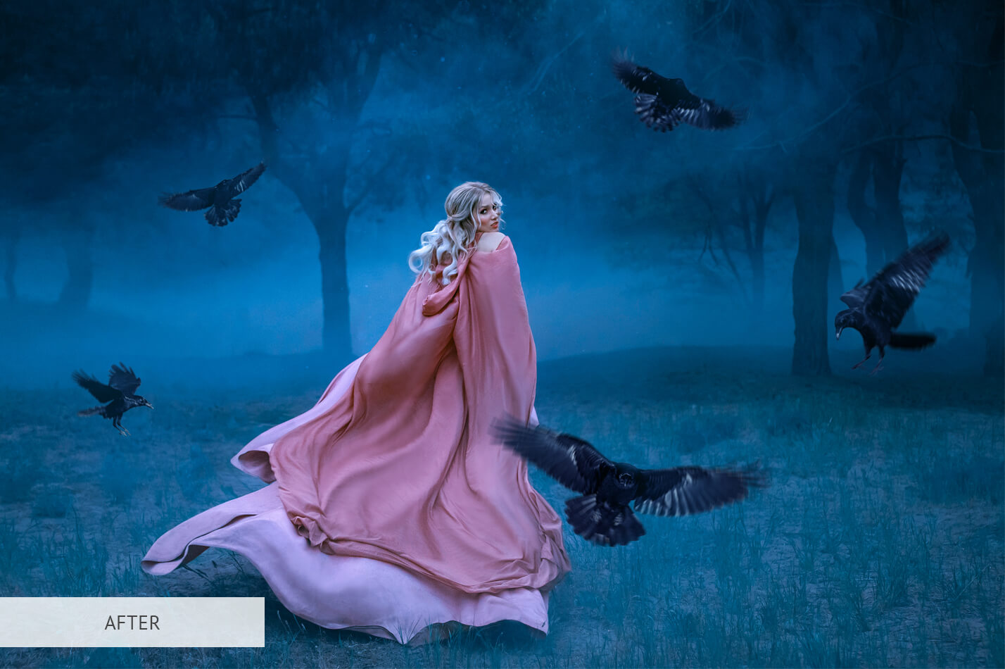 Free Bird Overlay Bundle|Download Birds Overlay Photoshop