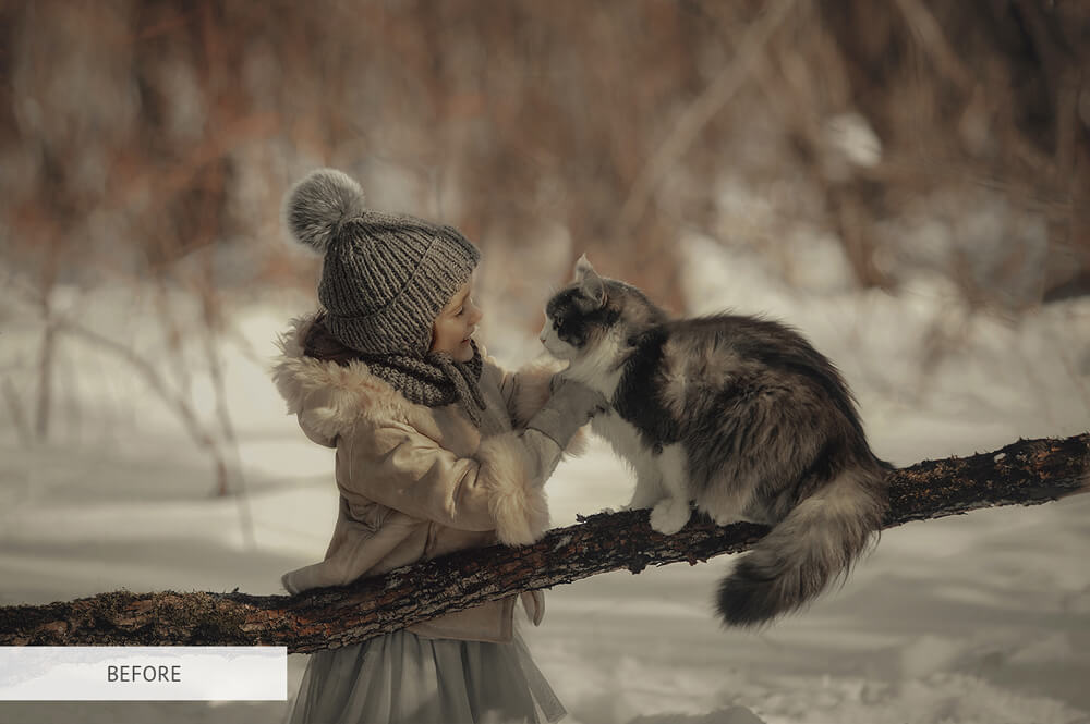 33 Free Photoshop Filters - How to Use Photoshop Filters for Photo Editing