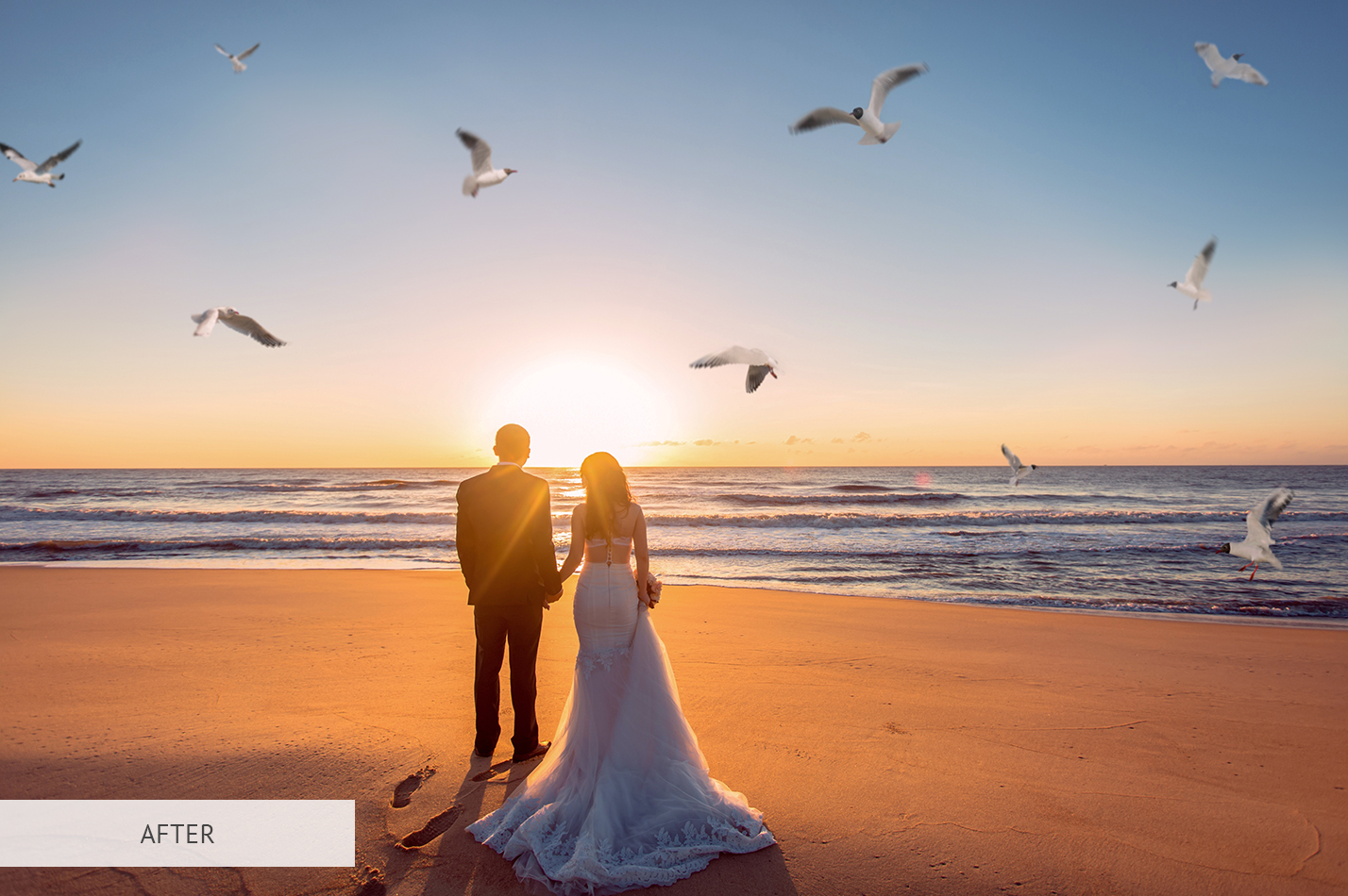 Free Bird Overlay Bundle|Download Birds Overlay Photoshop