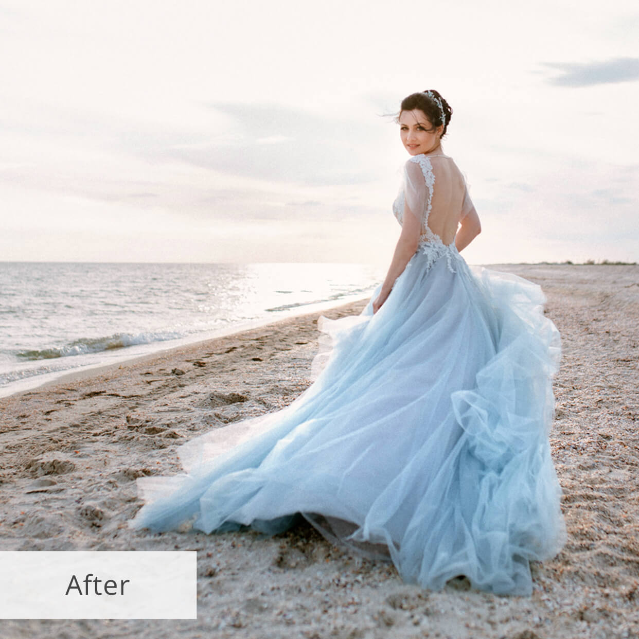 Free Luts | Free Lut Packs