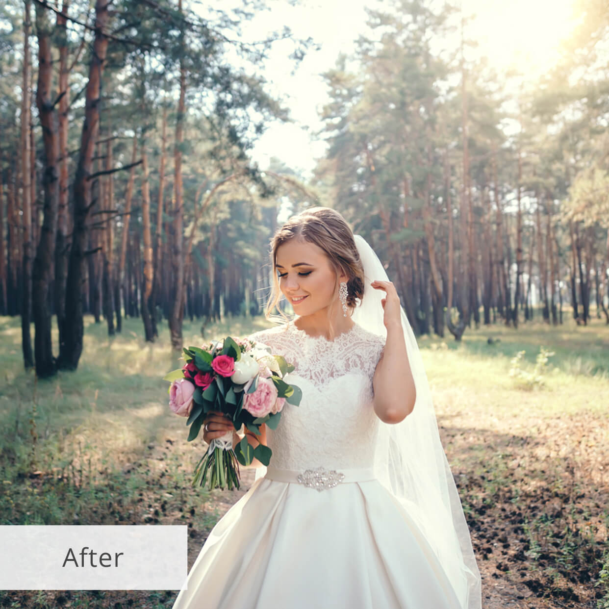 Free Luts | Free Lut Packs