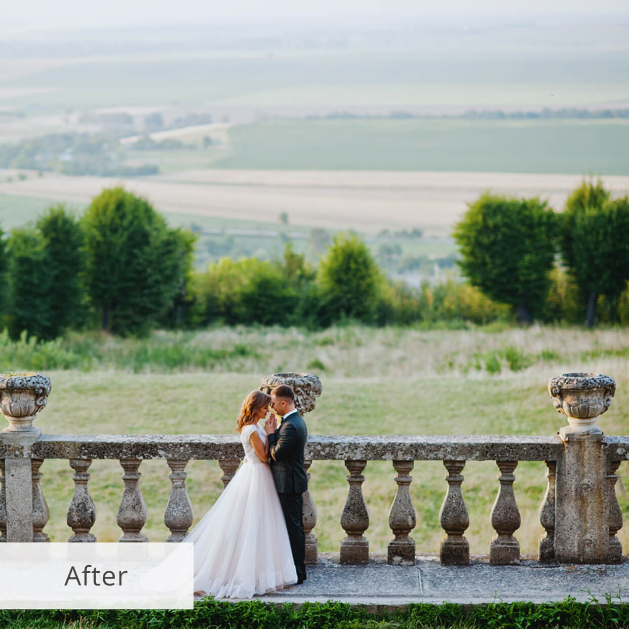 Free Luts | Free Lut Packs