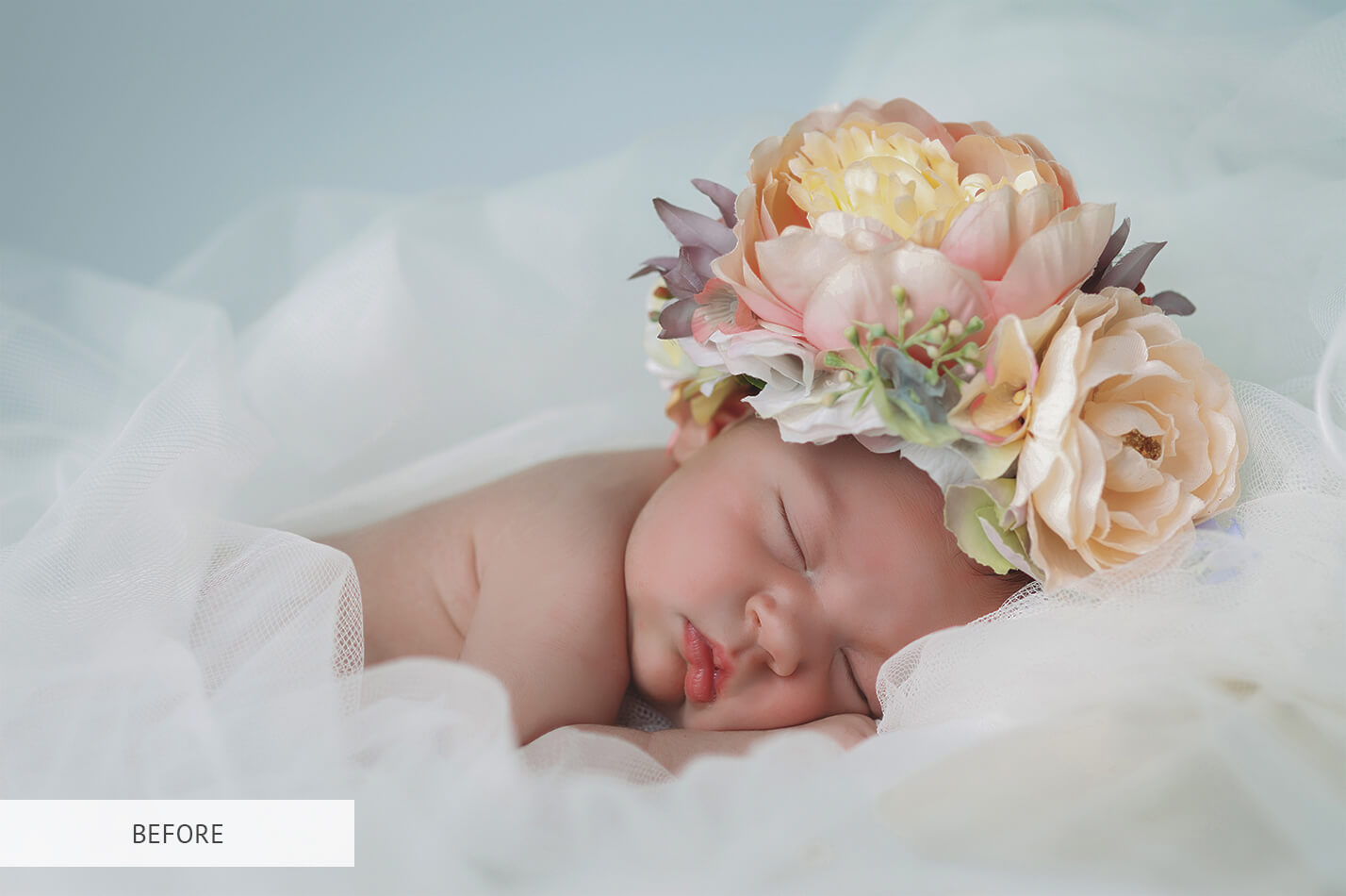 470 FREE Photoshop Overlays - Download Now!