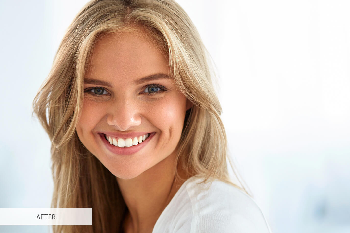 350 FREE Portrait Lightroom Presets - Download Now!