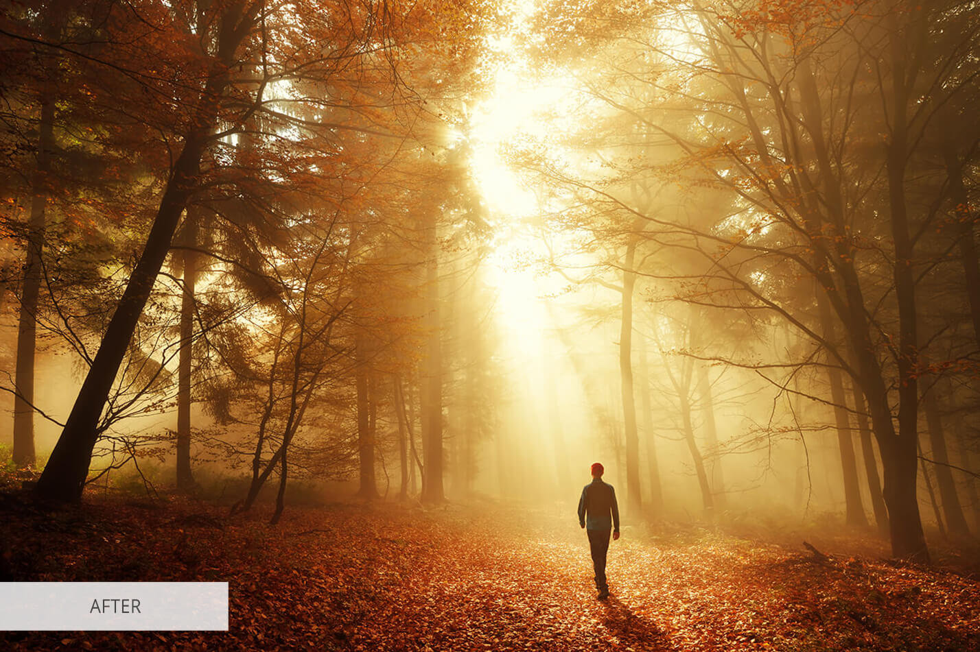 landscape lightroom presets