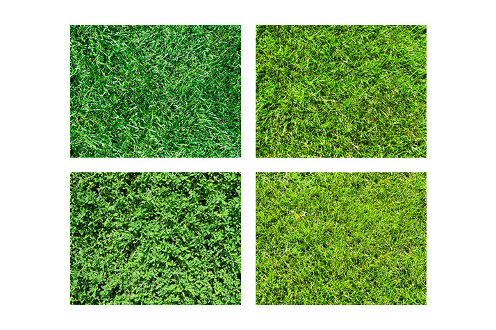 Green Grass Texture Photoshop|Grass Photoshop Texture – Full Bundle